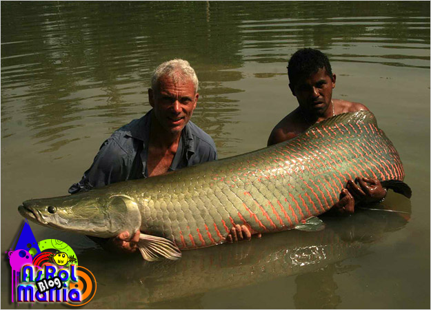 July 2010 | Asrol Mania