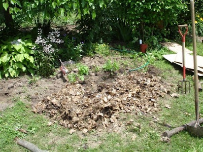 Pureland Permaculture: A Permaculture Raspberry and Strawberry Bed