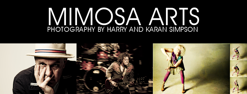 MIMOSA ARTS: Musician Spotlight: The Last Straw