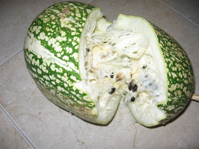 COZINHAR COM OS ANJOS: DOCE DE ABÓBORA CHILA OU (GILA)