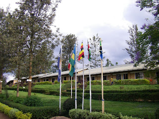 KING DAVID ACADEMY: YOUR WELCOME TO KING DAVID ACADEMY