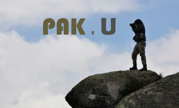PAK U