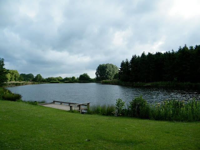 Joe Chatterton's Angling Diary: Trout, Lenches Lakes