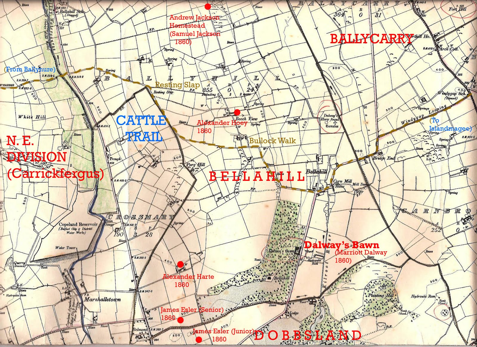 Steinbeck's Redemption: Dalway's Bawn Revisited