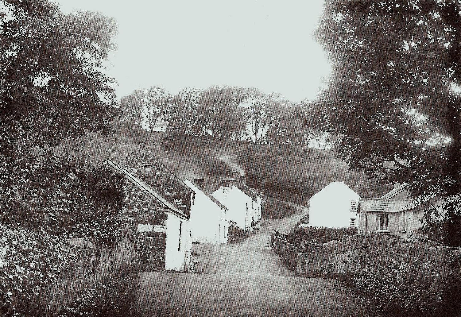 Steinbeck's Redemption: Booley huts and booleying on the Commons