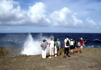 Hiking Curaçao - Flora and Fauna: Suplado - blowhole