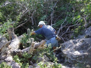 Hiking Curaçao - The Trails: Rooi Rincon