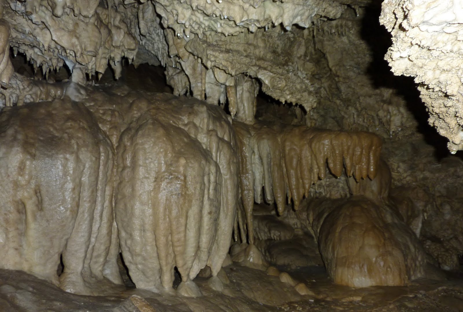 jendocino: Cave Junction - What's Your Function?