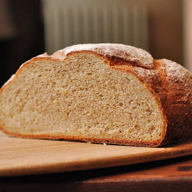 marzipan: Multi-grain Whole Wheat Harvest Bread
