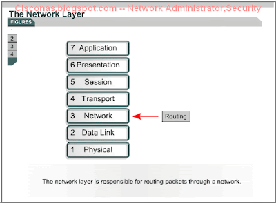 Network Administrator Network Security: IP Routing Protocols