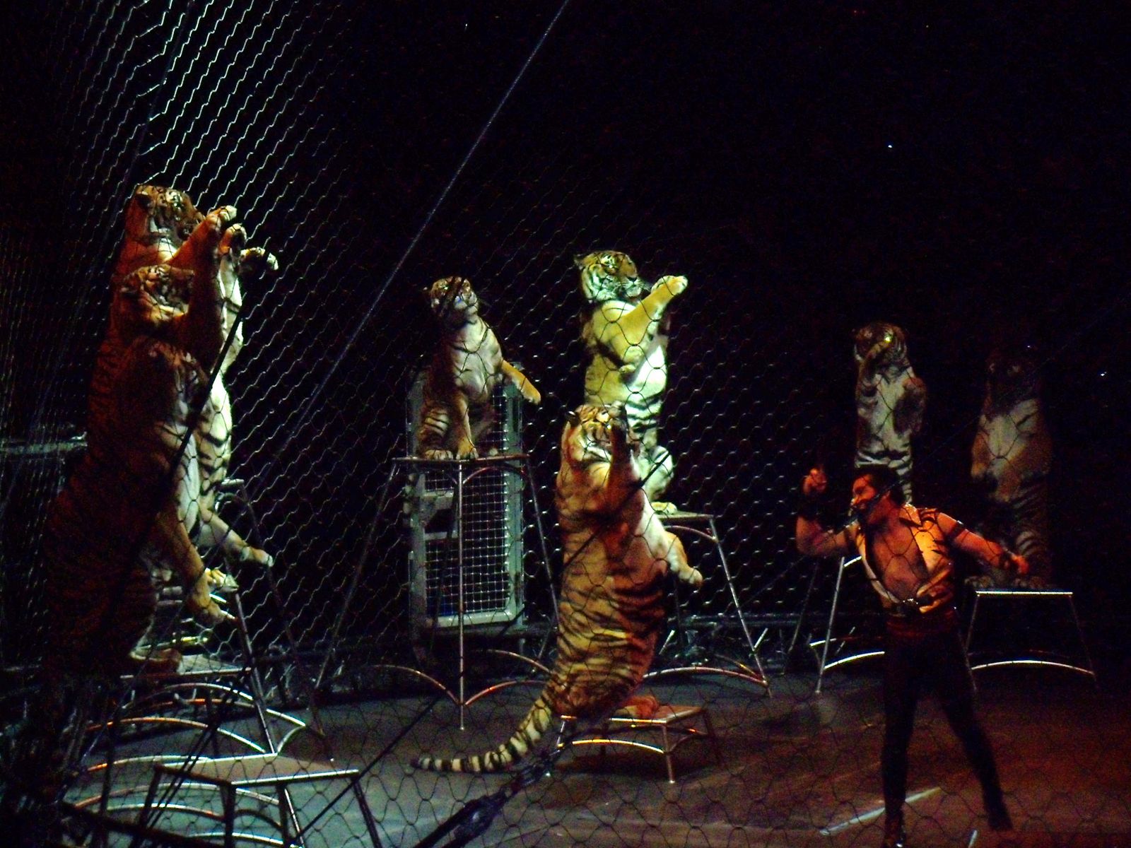 FREE IS MY LIFE: REVIEW: The Ringling Bros. & Barnum & Bailey Circus is ...