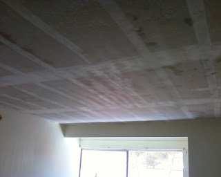 Ready to Make It Happen?: Removing Cottage Cheese Ceilings