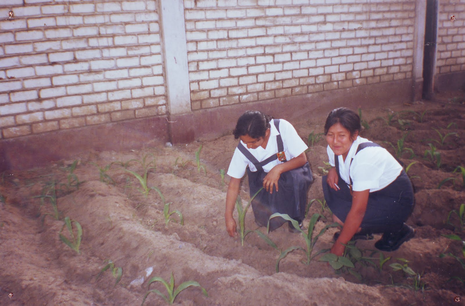 Conservemos el medio ambiente: NUESTRO BIOHUERTO ESCOLAR