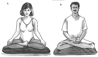 Meditation Guide and Tips: January 2009