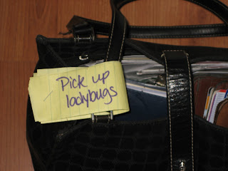 Special Education Strategies And More...: Visual Supports