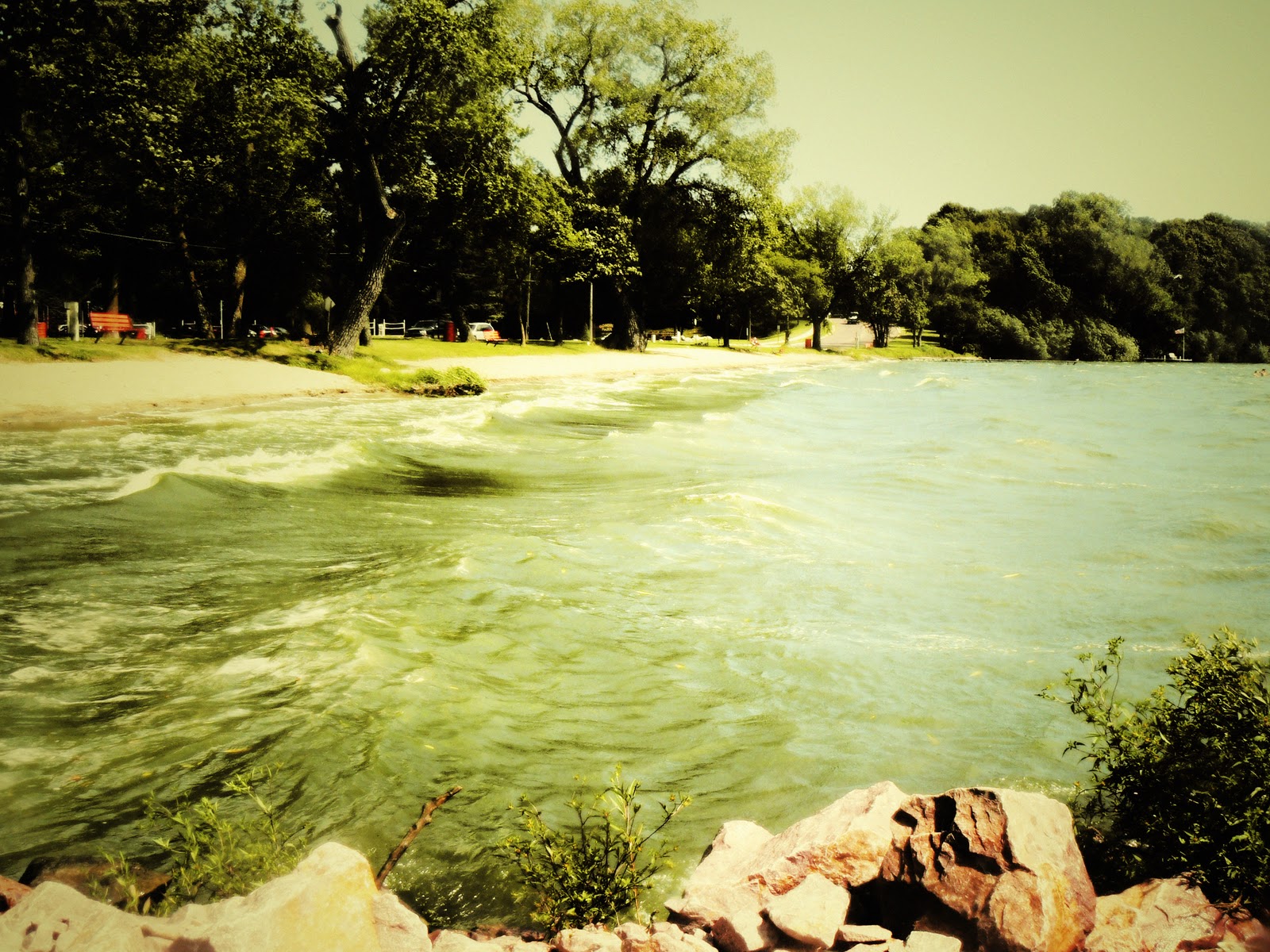 thatjeffcarter was here: Do You Know the Way to Shell Beach?