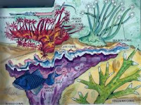 BooksForKidsBlog: Nonfiction That Makes the Grade: Coral Reefs by Gail ...