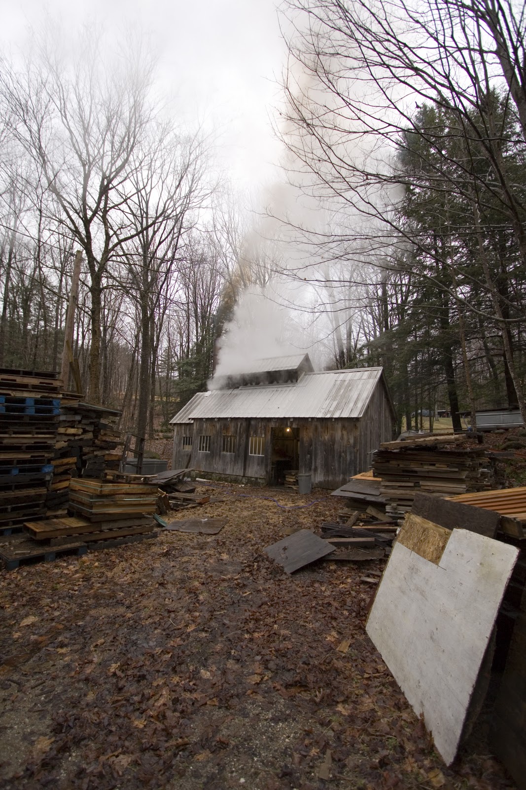 Trans Pond: Photo Documentation: Maple Syrup - Part 1