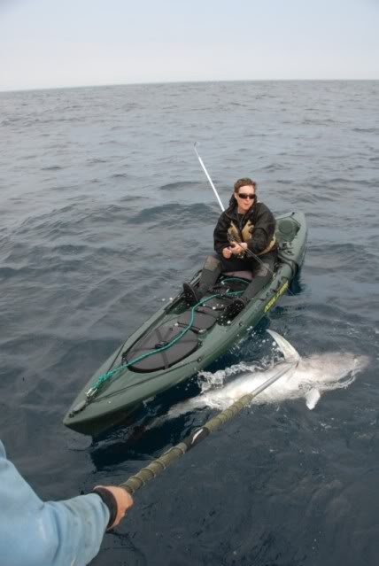 Fishing Accurate Reels: NC Kayak Bluefin