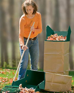 The Stroke Thrivers: Gardening