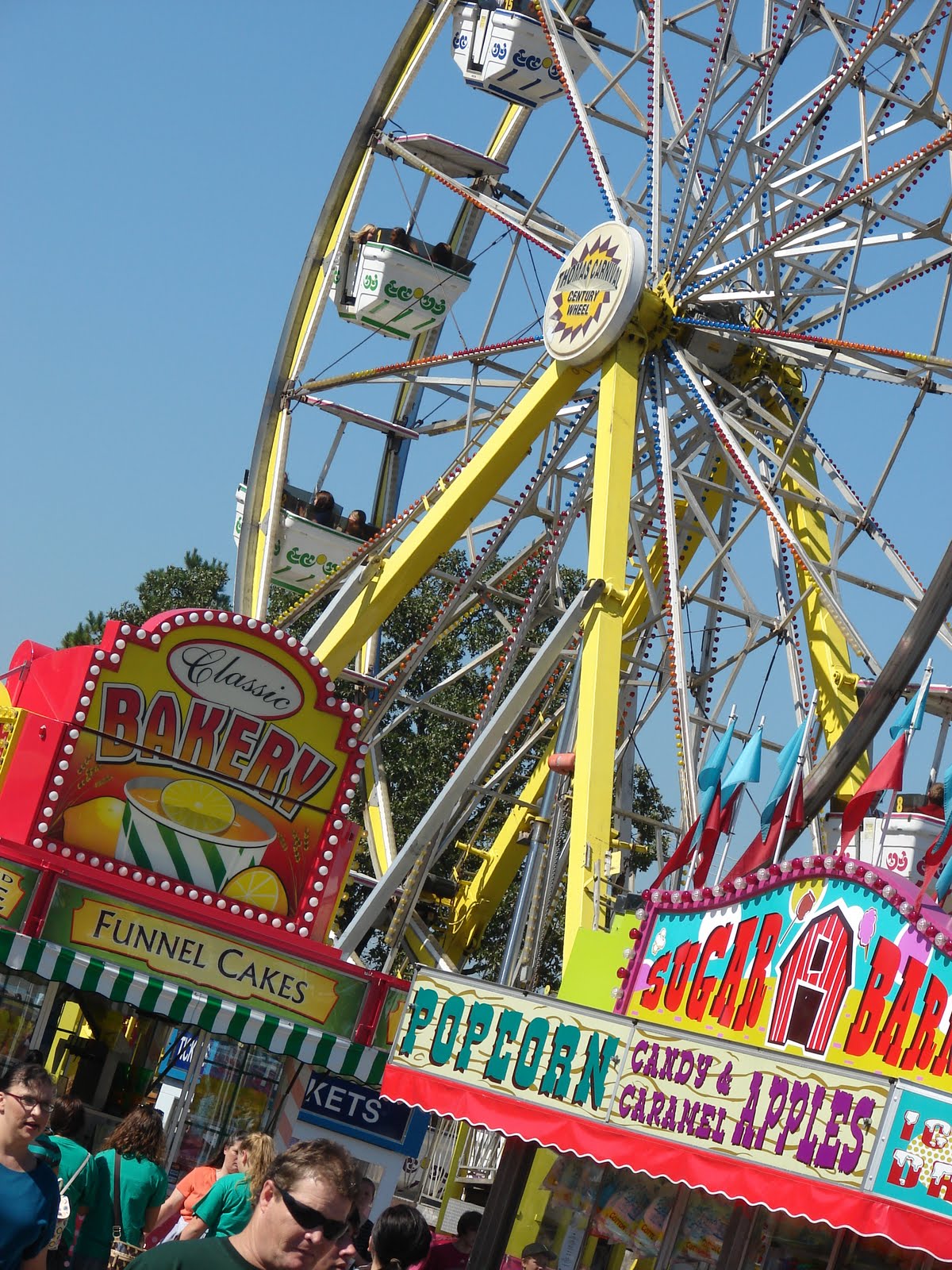 A Day at the State Fair