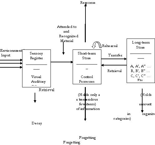 Events and Lecture notes : Sensation, Attention and Perception