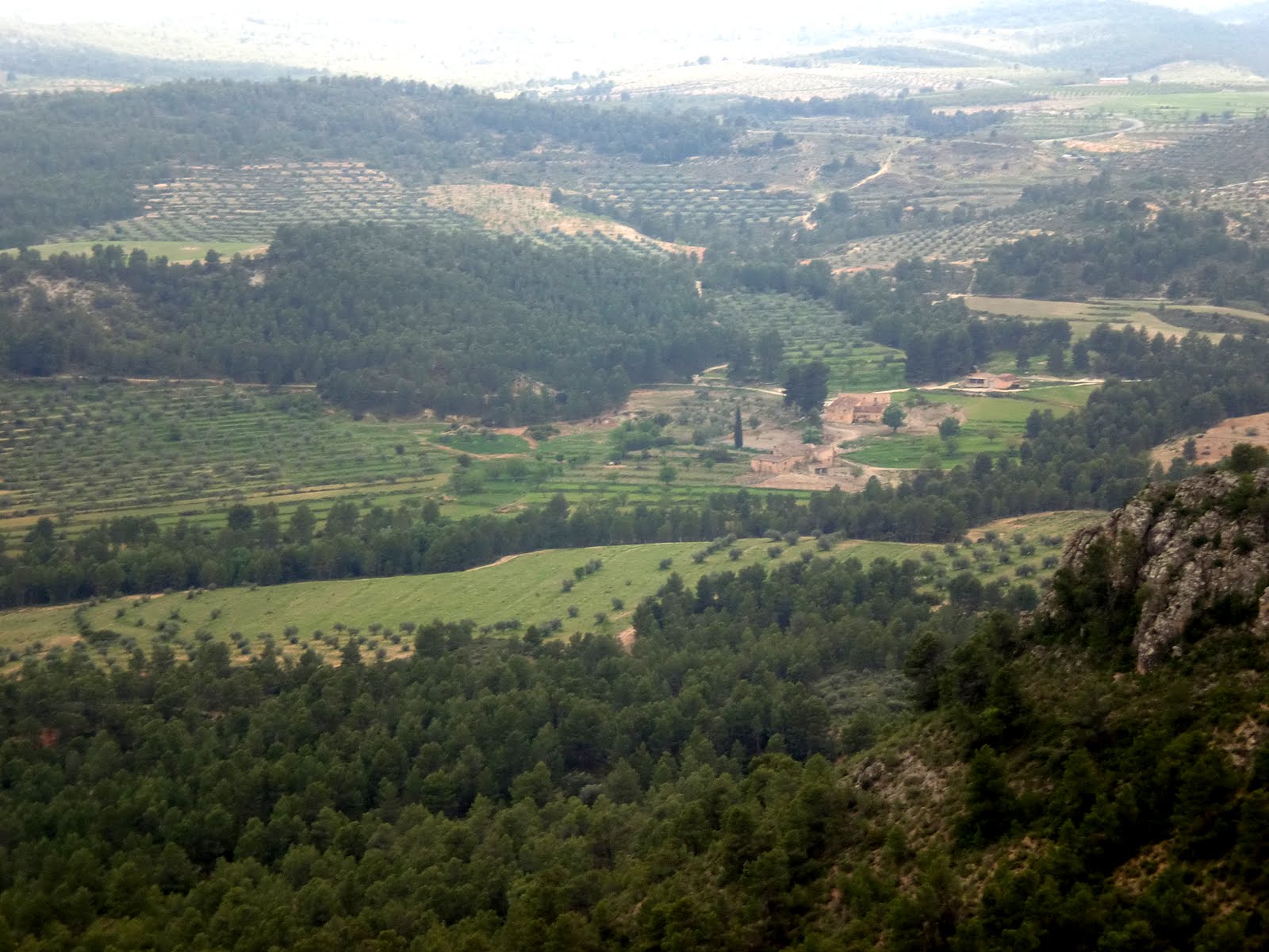 La Quebrada del Molino Viejo: RUTA DE SENDERISMO PIEDRA DEL MACALÓN