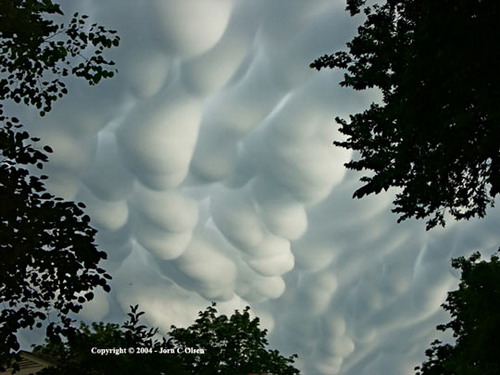 Geography: Amazing Natural Phenomenon : Mamatus Cloud ☁