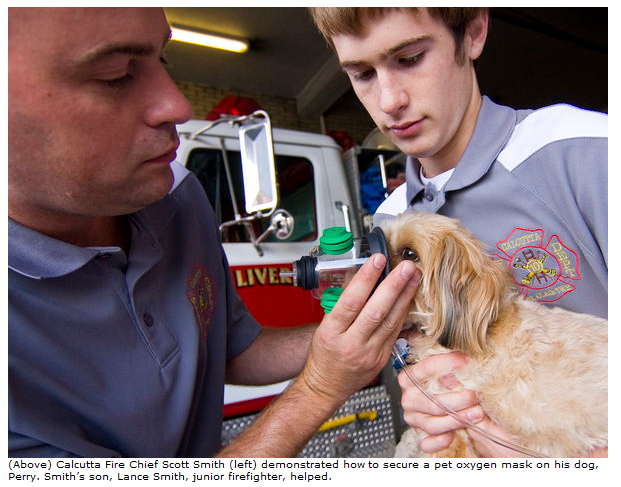 PET OXYGEN MASK BLOG: Oxygen for animals