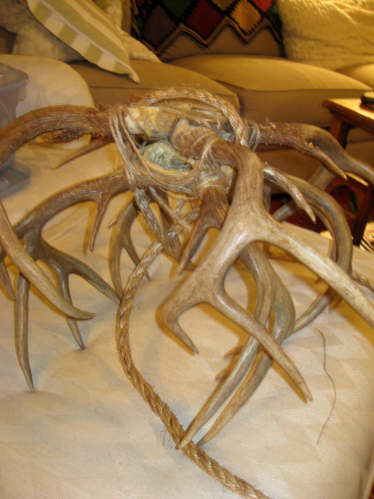 a walk through: How I made the antler mobile...