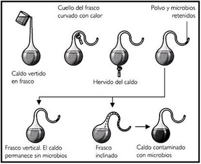 la teoría de evolución química: teoria de la evolucon quimica