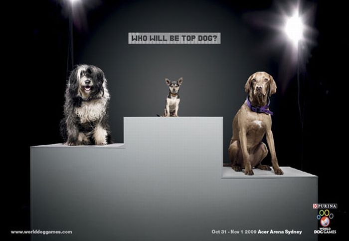 The Best Ads with Dogs | Funny Matter