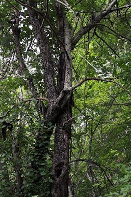 Life Looms Large: Laudholm Farm