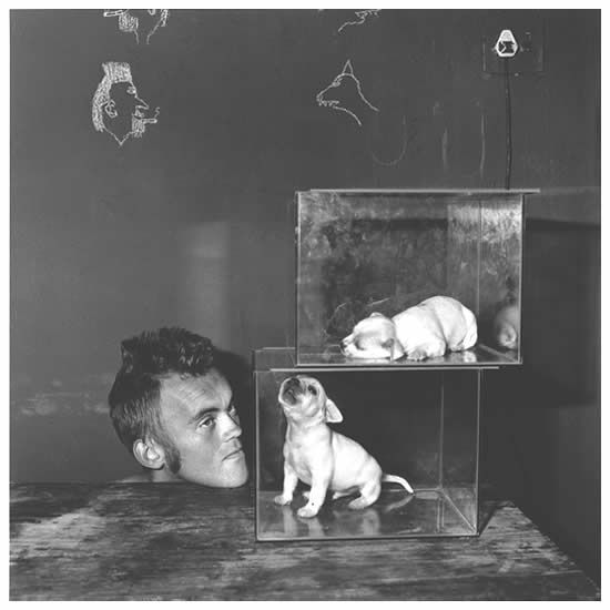 Darkrooms in northern light: Roger Ballen currently has a retrospective ...