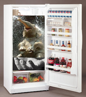 super-rad: How to put an elephant in the refrigerator