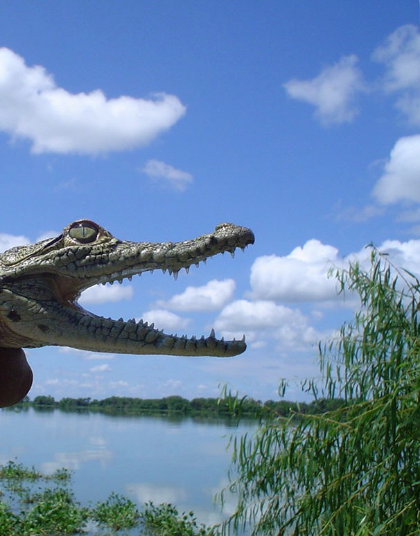 Ecoturismo México: Pantános de Centla - Tabasco
