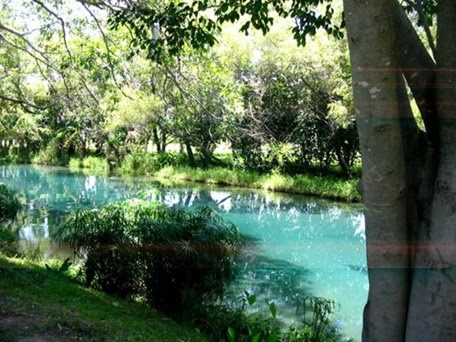 Ecoturismo México: Las estacas Morelos