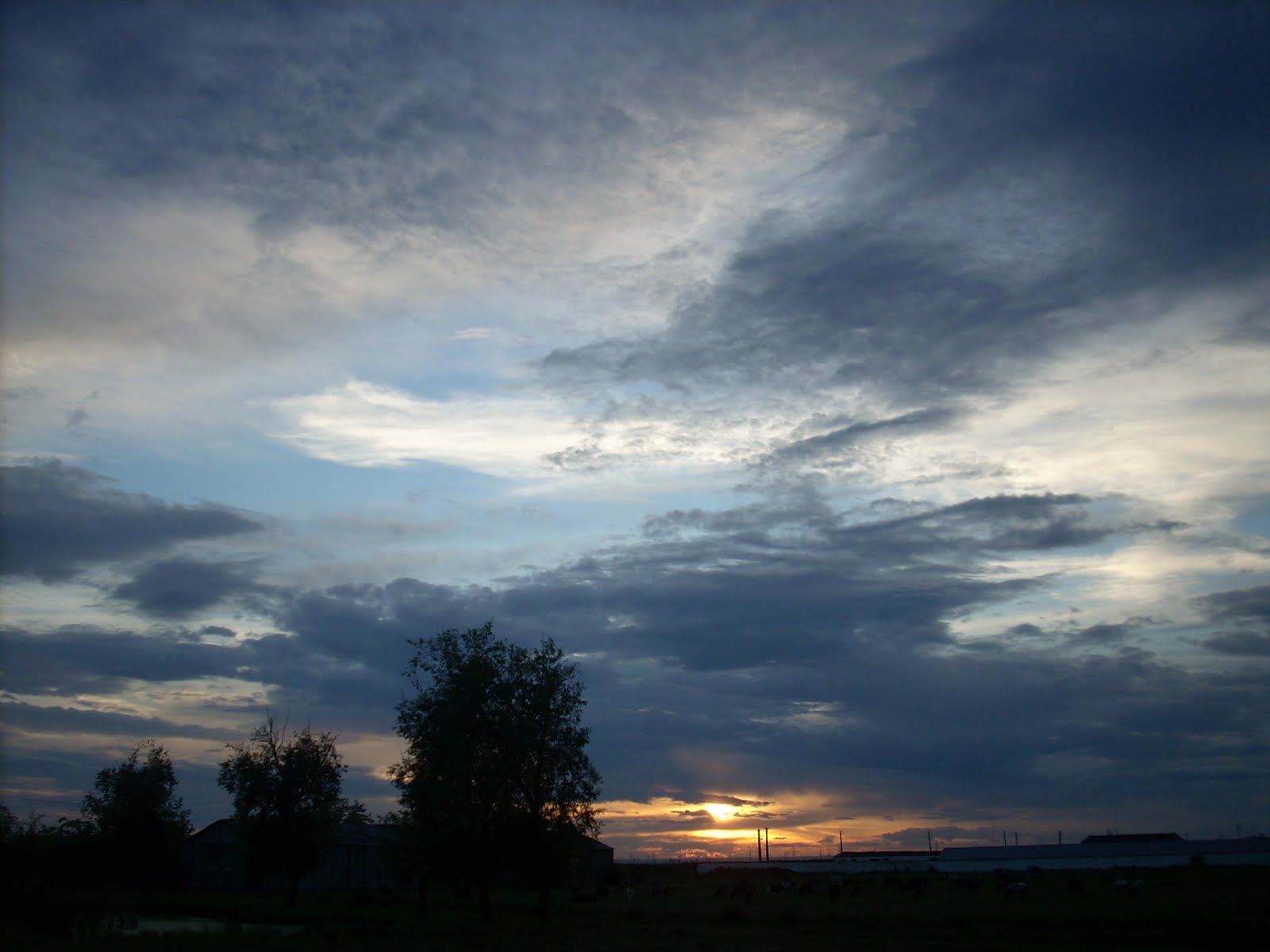 z b a t e r i - blog cu intentii bune: Expozitie de nori