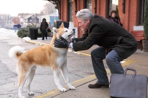 IIIB English Class Blog: HACHI