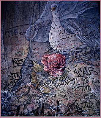 jamaica byles: Photographer: David Loftus