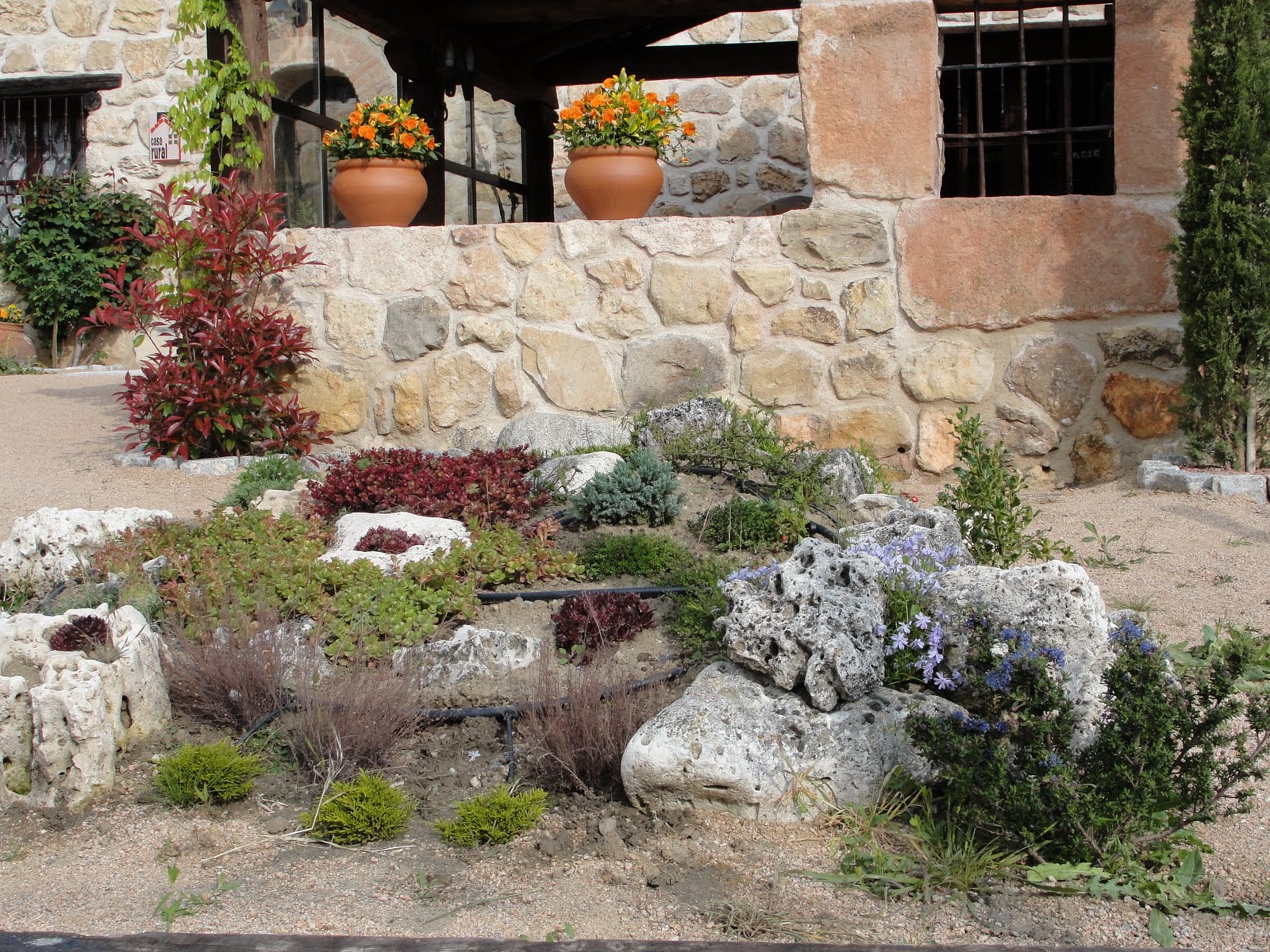 Jardinería Plantae: Rocalla