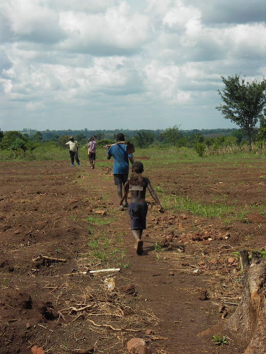 Uganda Farming Project