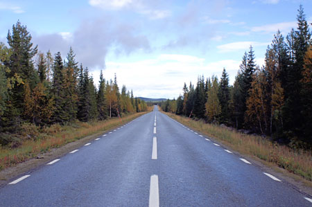 Living, Laughing, Loving, Learning: Straight paths