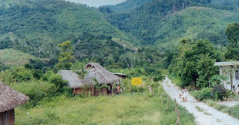 PLAAN : La Naturaleza en Satipo