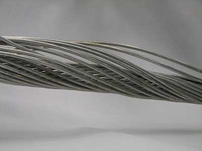 Bird on a Wire: February 2008