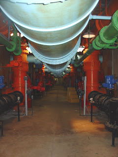 Bird on a Wire: A Visit to Sheahan Pumping Station