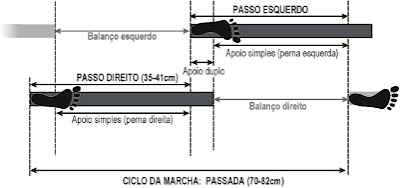 Prof. Wilson Lima - Educação Física: - Marcha Humana; não confunda ...