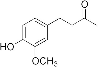 Chemistry's Life: Zingiber Officinale to What is known as Ginger