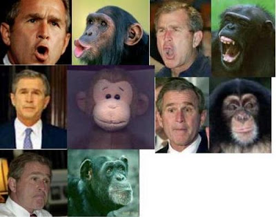 GEORGE W. BUSH FUNNY PICS | ROTTEN PEACE