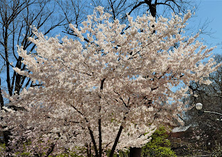 Wit's End: Through the Looking Glass